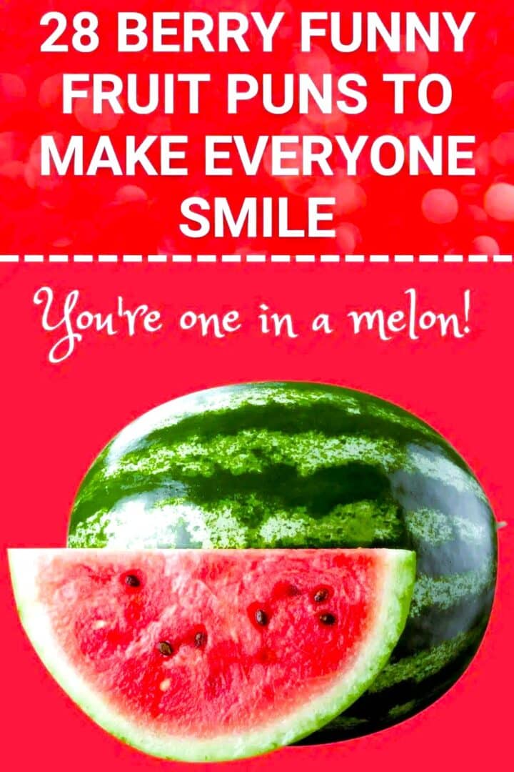 28 Berry Merry Fruit Puns That Will Have You In Stitches - Recipe Idea Shop
